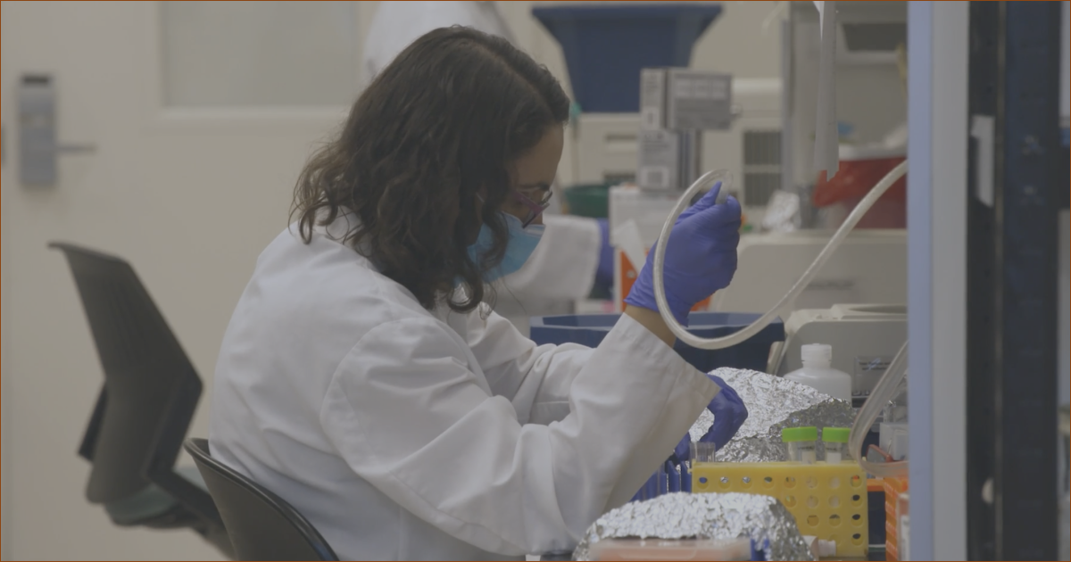 CDC Slashes Funding for Public Health Labs: What It Means for Our ...